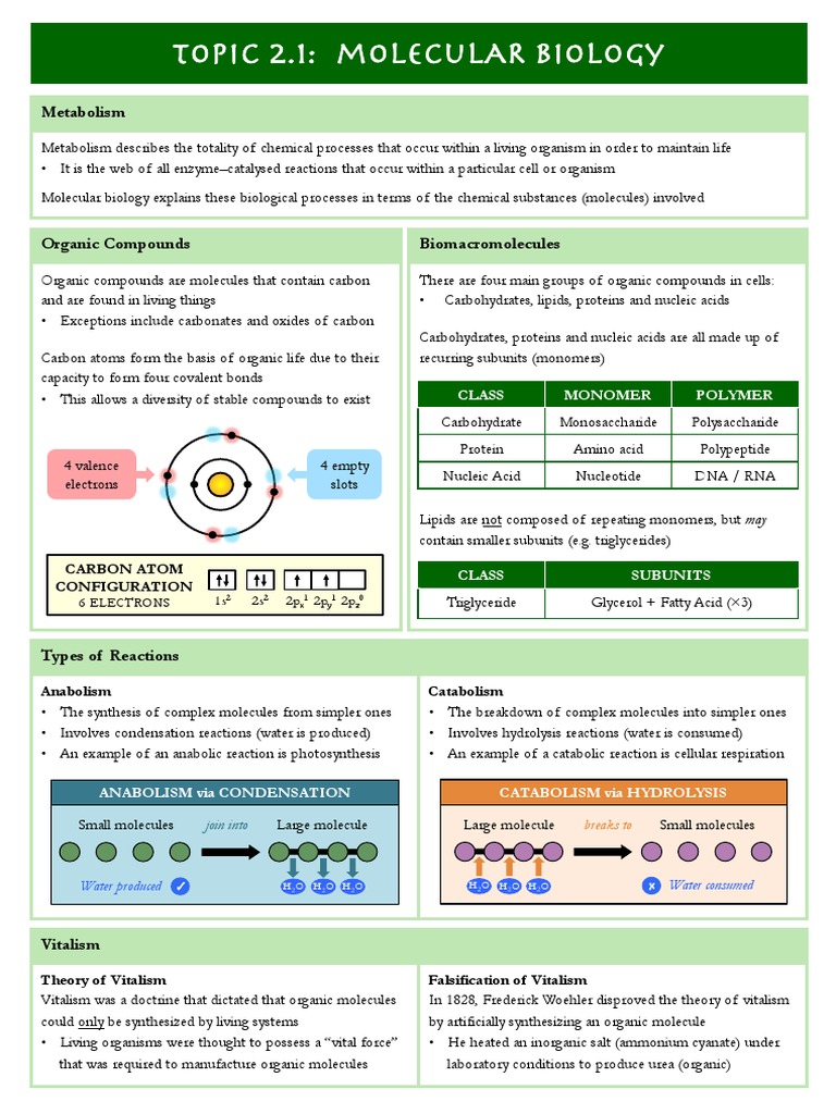 Unit 2 Biology PDF | PDF | Genetic Code | Dna