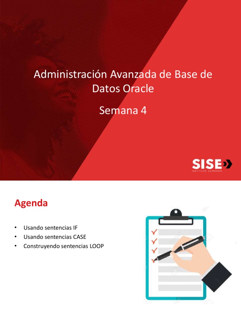 Clase 4 - PLSQL - IF - CASE - LOOP PDF | PDF