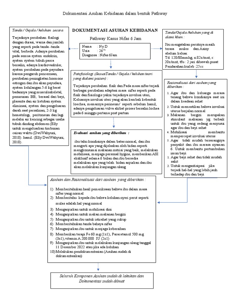 Pathway Nifas | PDF