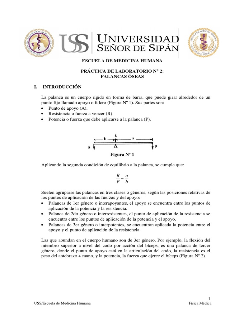 Practica02 PDF | PDF
