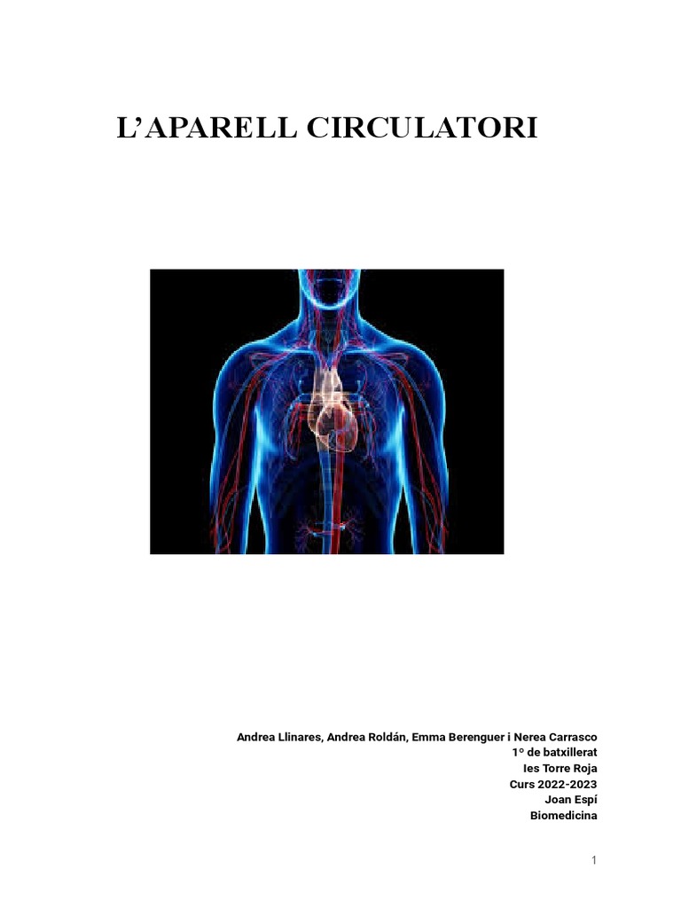 L'aparell Circulatori Document PDF | PDF