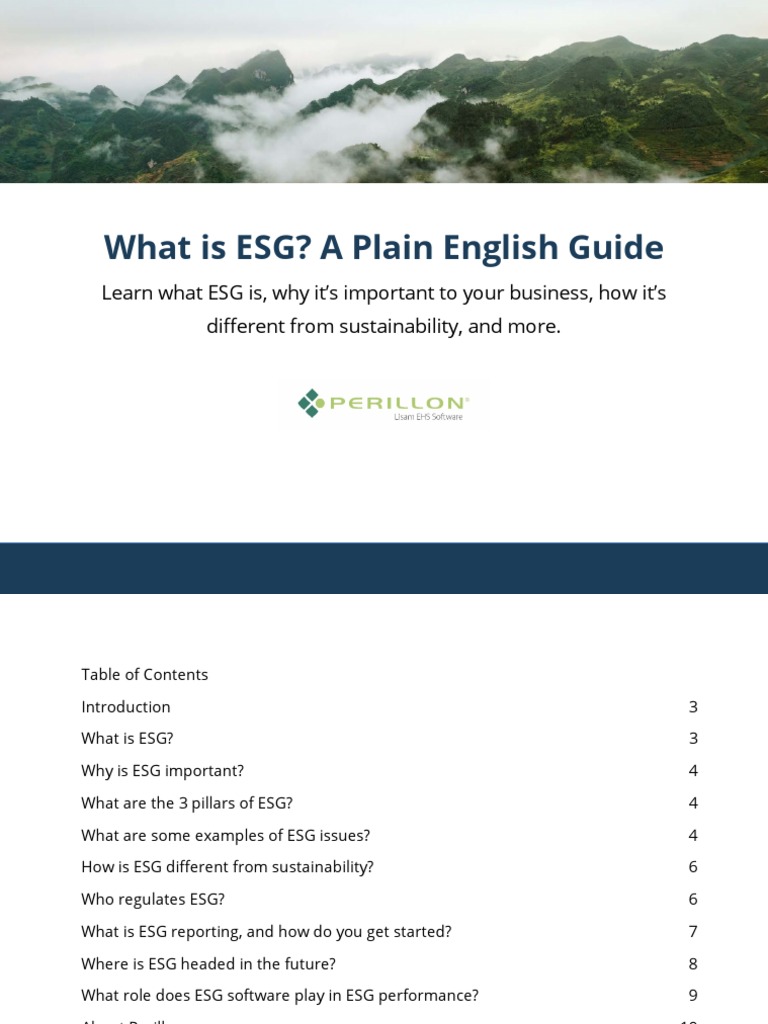 ESG Ebook PDF | PDF