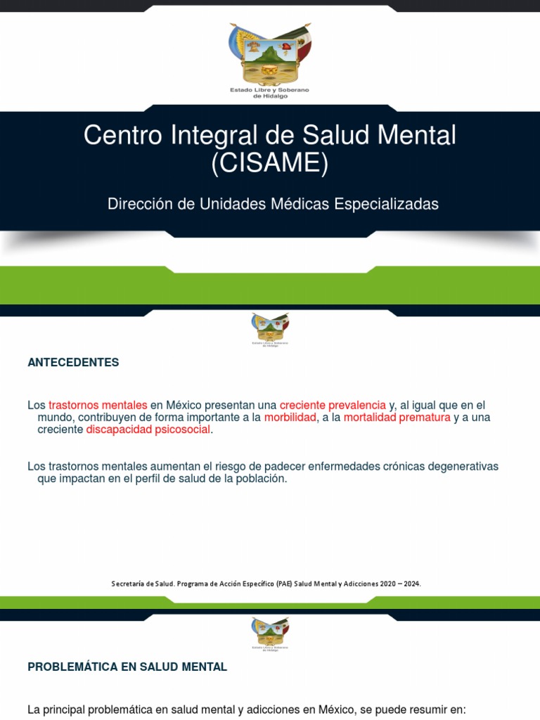 Centro Integral de Salud Mental en México | PDF | Trastorno mental ...