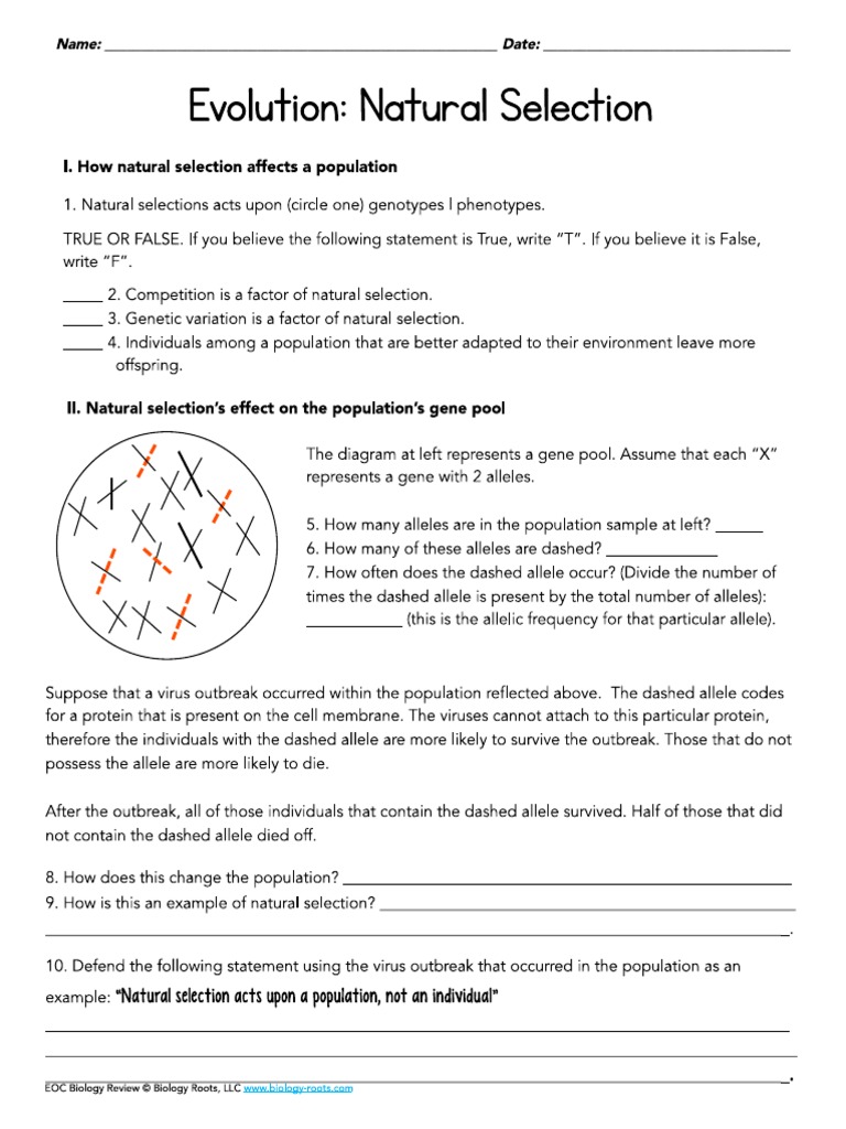23 Evolution by Natural Selection | PDF