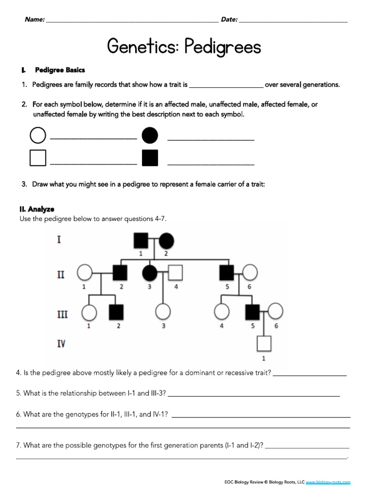 19 Genetics Pedigree | PDF