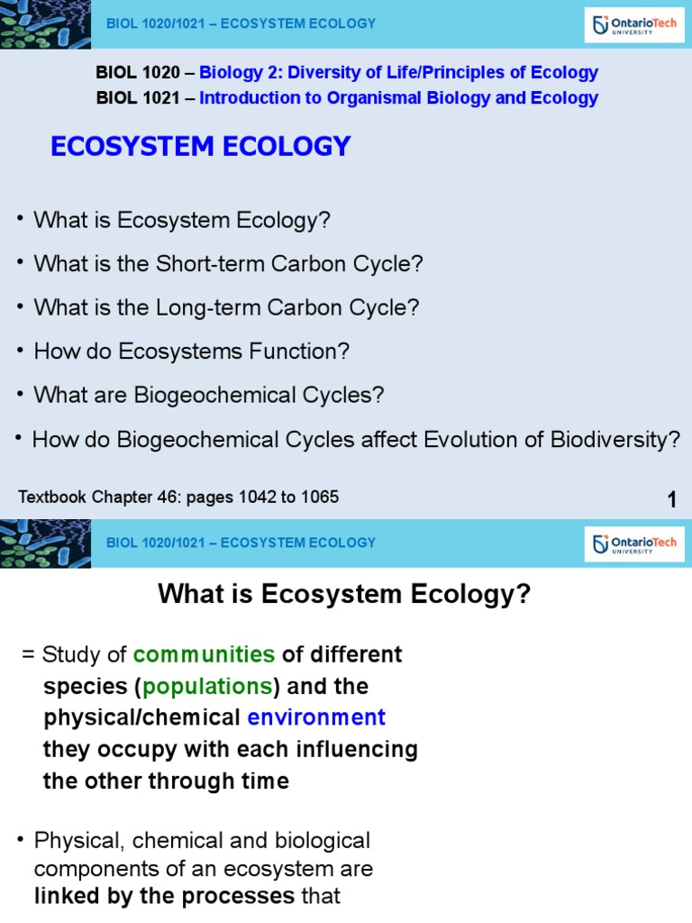W2023-Lecture 19-Ecosystem Ecology-Posted | PDF | Ecosystem | Food Web