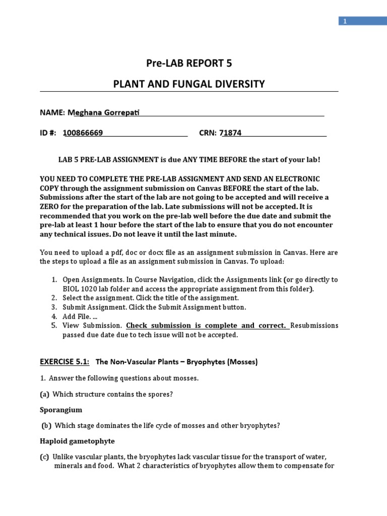 Lab 5 Pre Lab Assignment 2023 | PDF