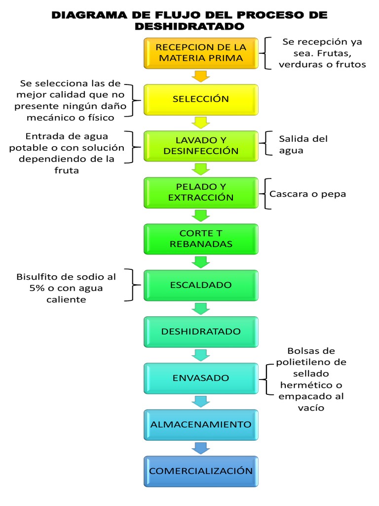 Proceso de Deshidratación de Frutas | PDF