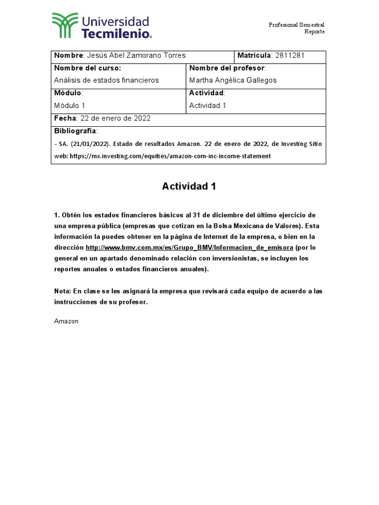 Actividad 1 Estados Financieros | PDF