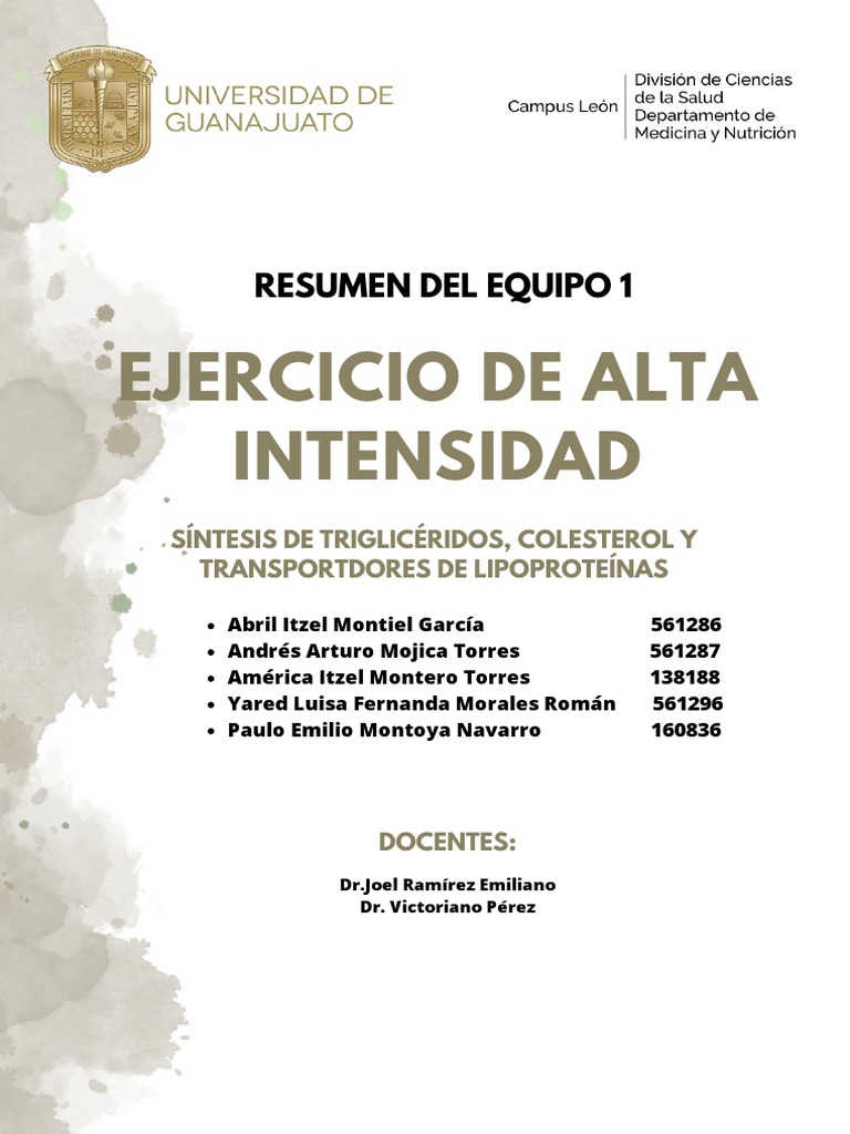 Resumen Ejercicio de Alta Intendidad Día 2 PDF | PDF