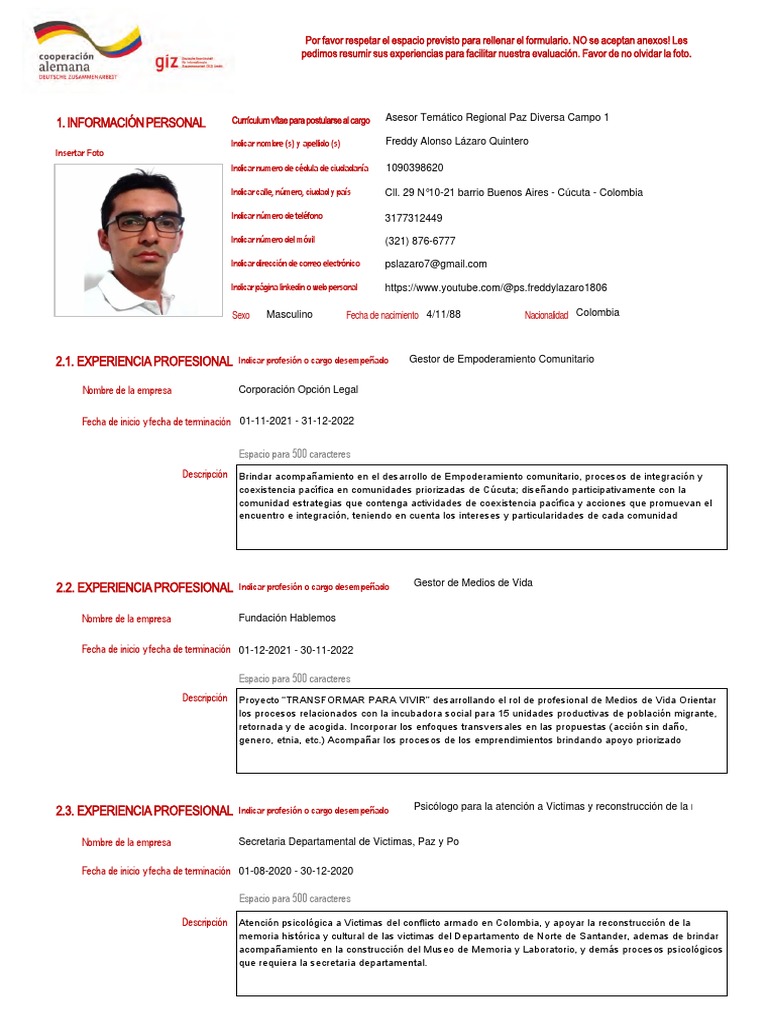 FORMATO CV GIZ Final 1 PDF | PDF