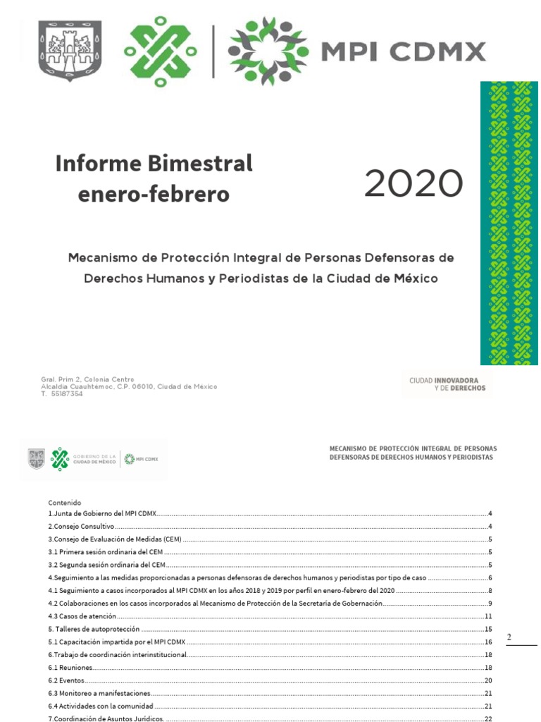 2020 Informe Bimestral Enero - Febrero PDF | PDF