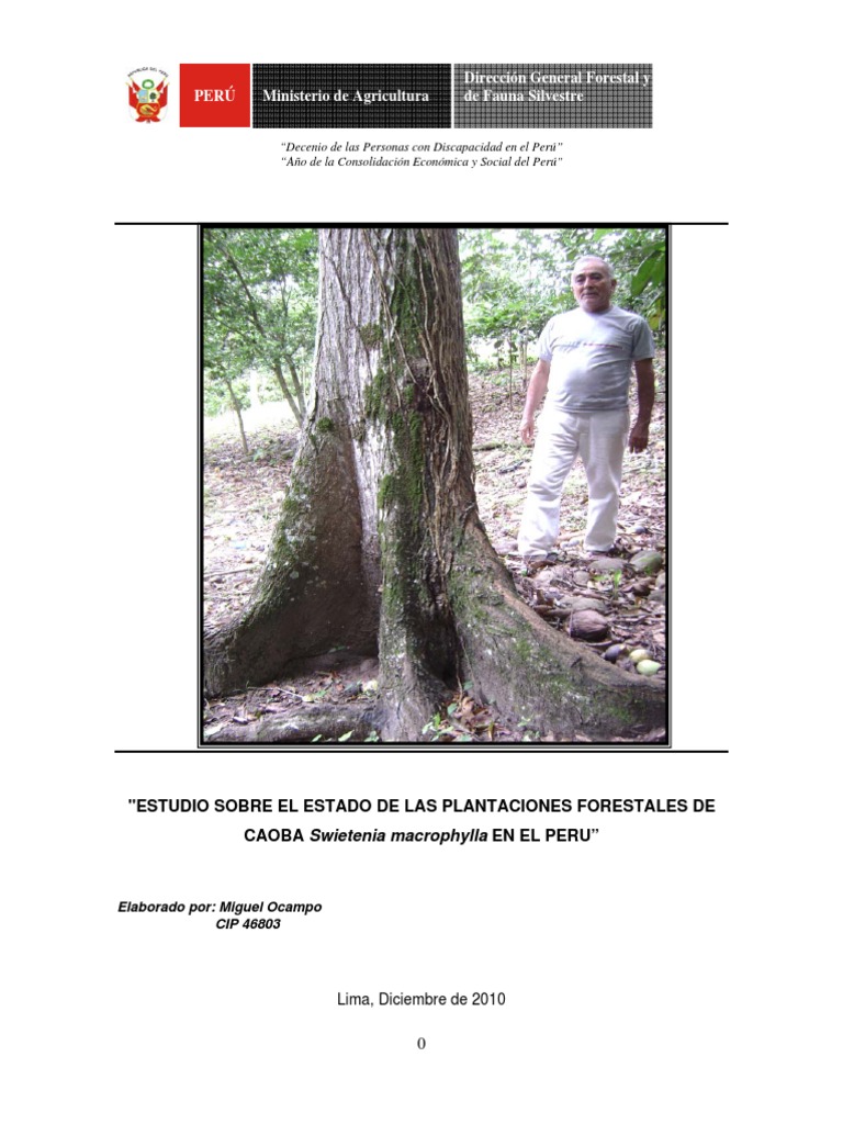 estudioplantacionecaoba_InformeFinal.pdf | PDF | Semilla | Cita