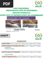 Organigramme Ocp Nouveau | PDF | Maroc | Business