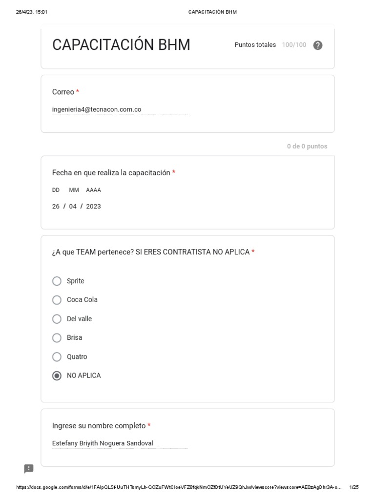 Capacitación BHM PDF | PDF | Negocios | Informática