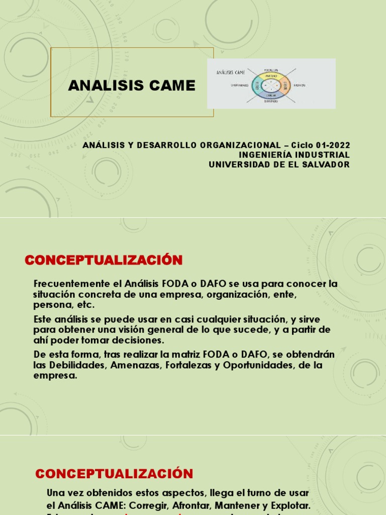 Analisis Came | PDF