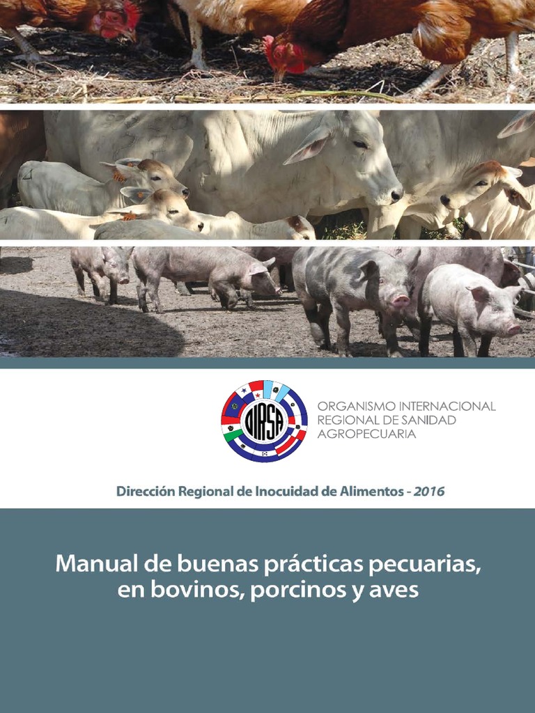 Manual de Buenas Prácticas Pecuarias en Bovinos, Porcinos y Aves PDF | PDF