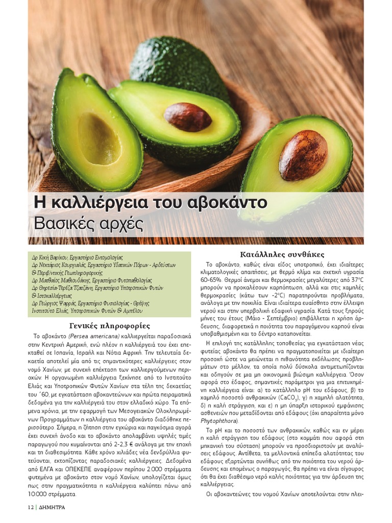 Avocado Pdf