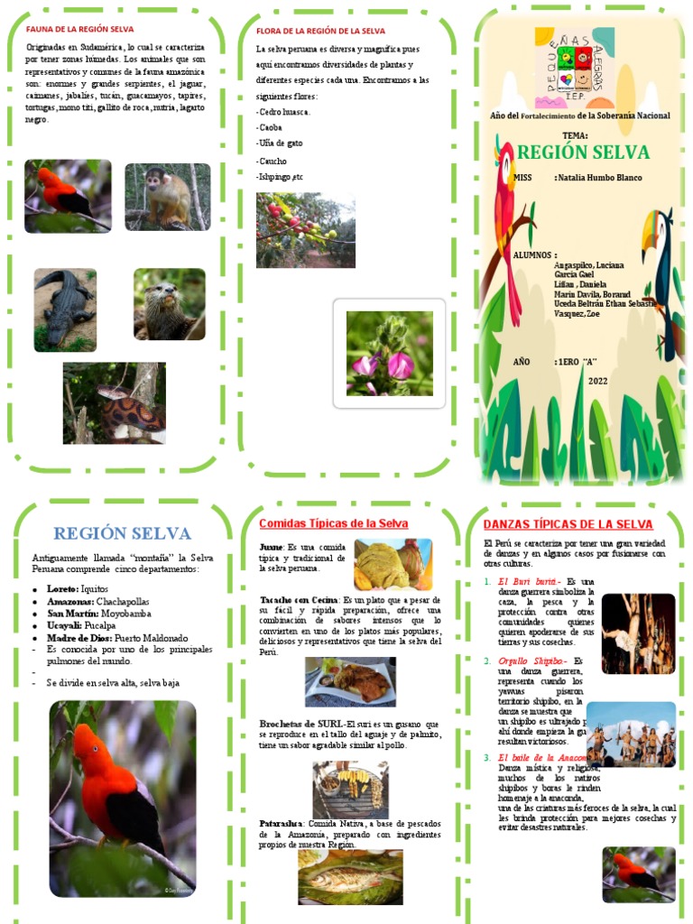 Triptico Borrador Selva | PDF | Perú | Selva amazónica