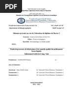 Fumacur 200 mg : Indications et Posologie | PDF | Anémie | Magnésium