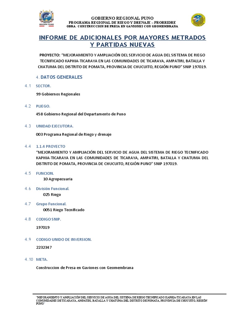 Informe Sustento | PDF