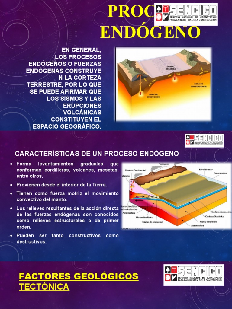 PrOCESOS ENDÓGENO | PDF