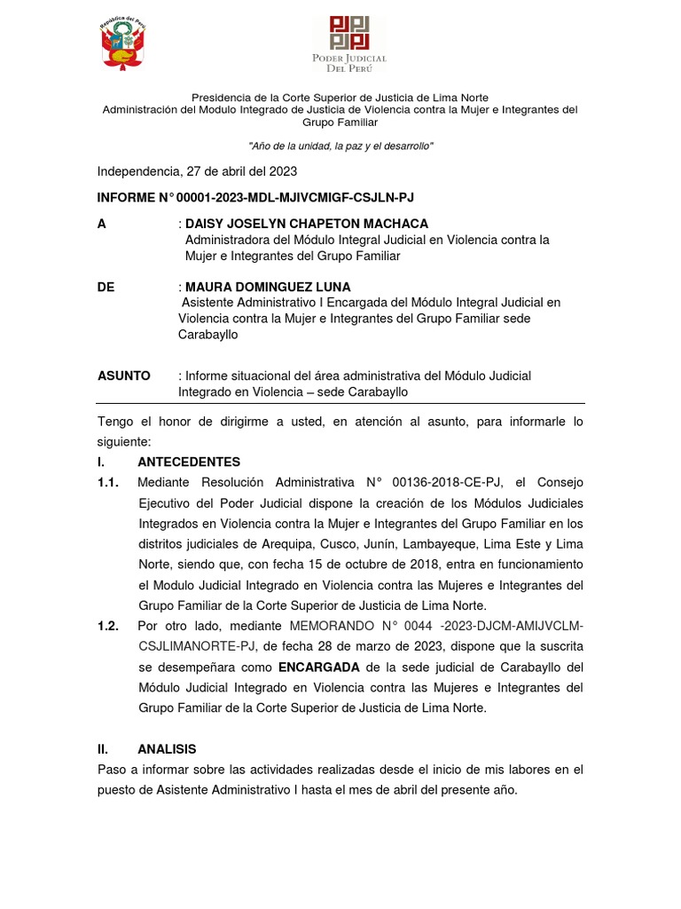 Informe Situacional | PDF