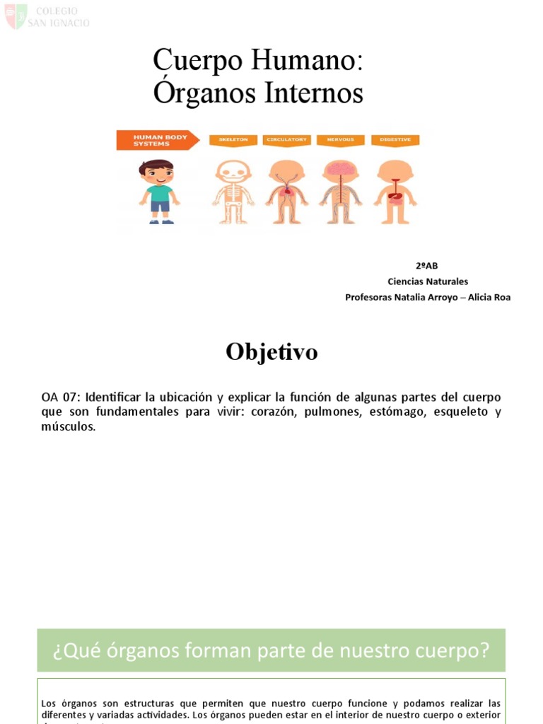 Funciones de Órganos Internos Humanos | PDF | Salud y bienestar ...