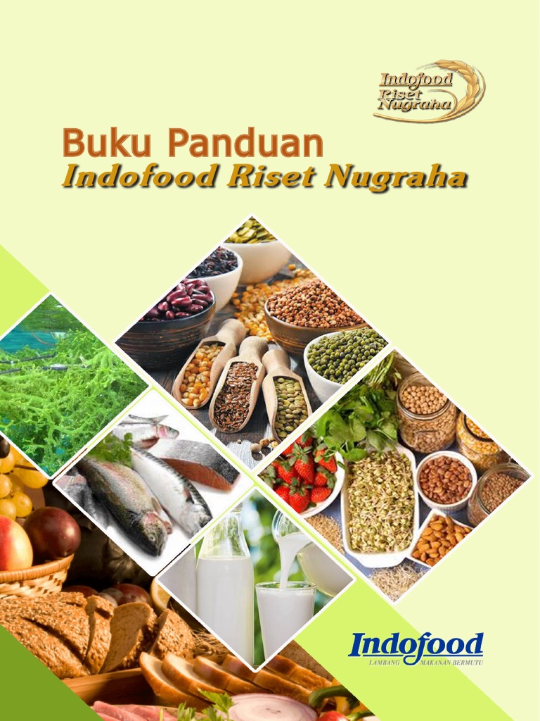 Panduan IRN Edisi 4 17 Juni PDF | PDF
