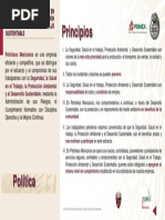 5-Política y Principios de SSPA en PEMEX | PDF | Desarrollo sostenible ...