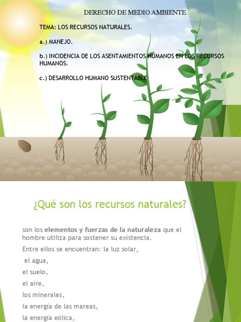 5-los recursos naturales | PDF