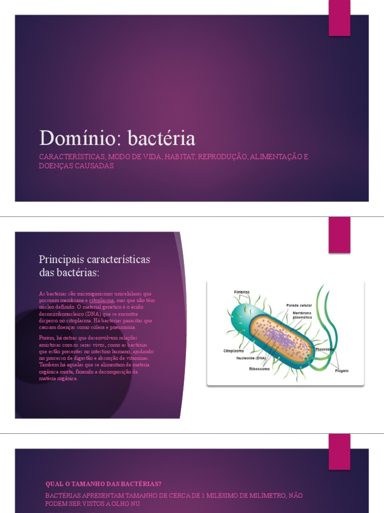 Domínio Bacteria Powerpoint | PDF | Bactérias | Organismos