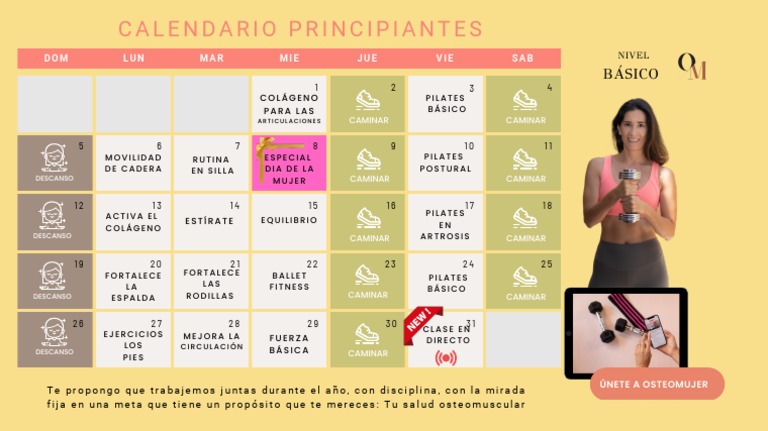 Calendario Basico | PDF
