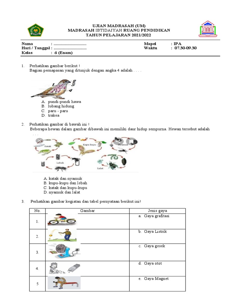Soal UM IPA & Kunci Jawaban | PDF | Kajian Bahasa Asing | Sains & Matematika