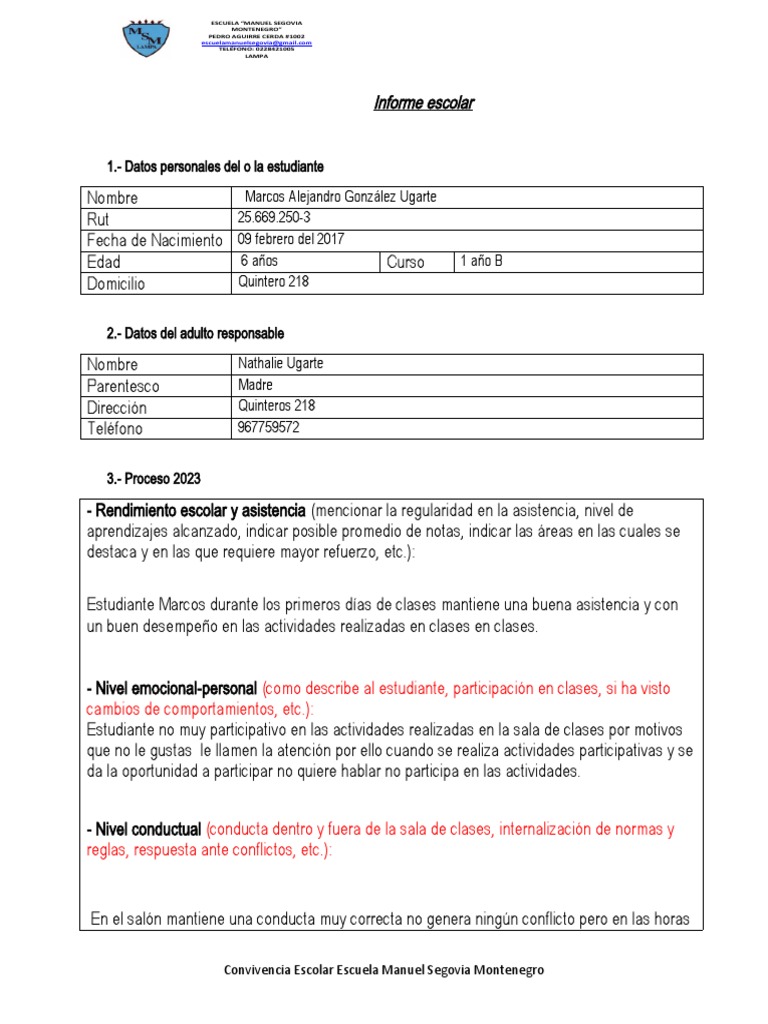 informe escolar msm | PDF