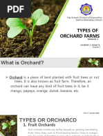 Method of Layout Orchard | PDF | Plants | Trees