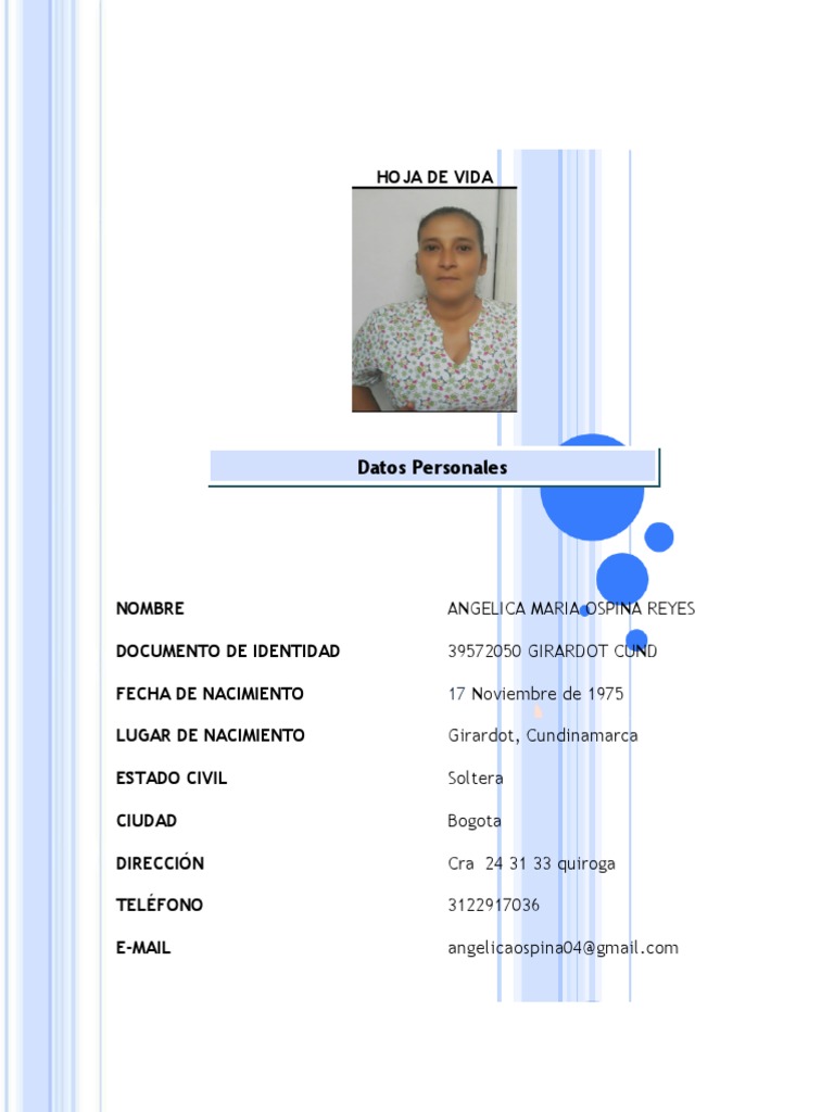 Formato Hoja de Vida | PDF