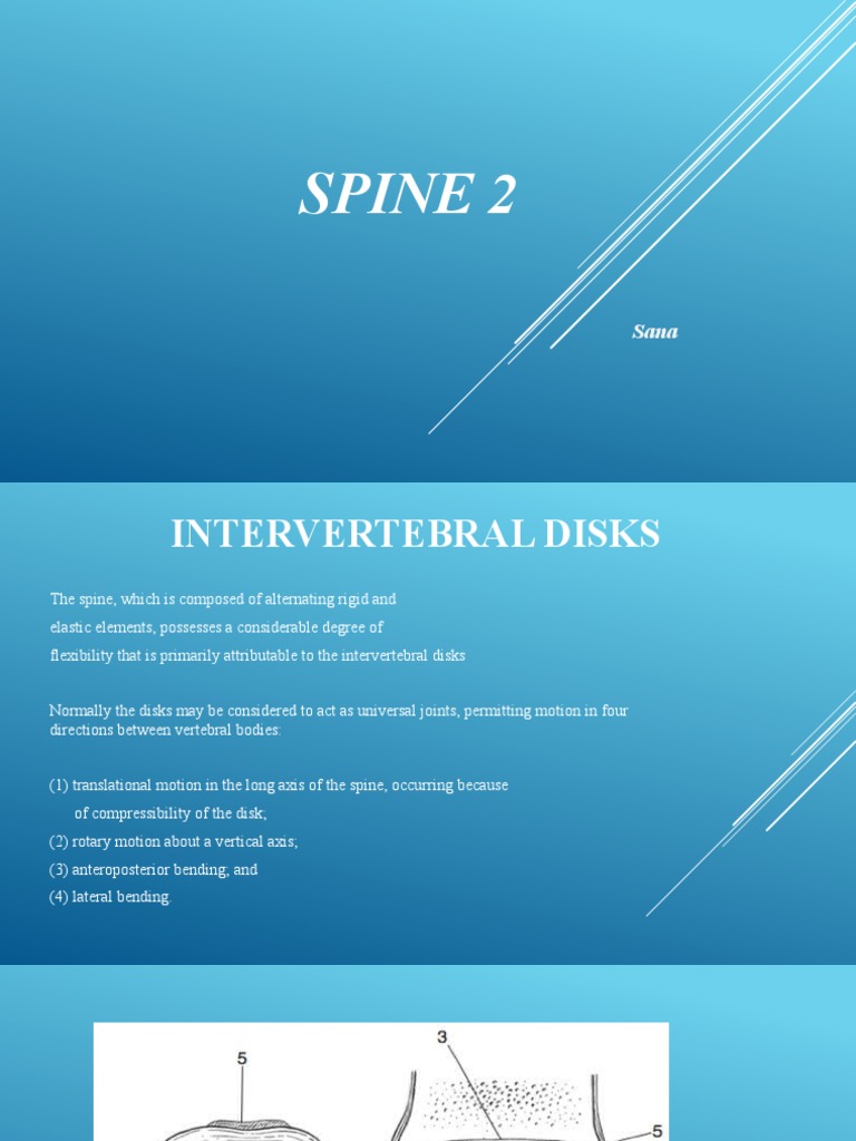 Lec2 The Spine 2 | PDF