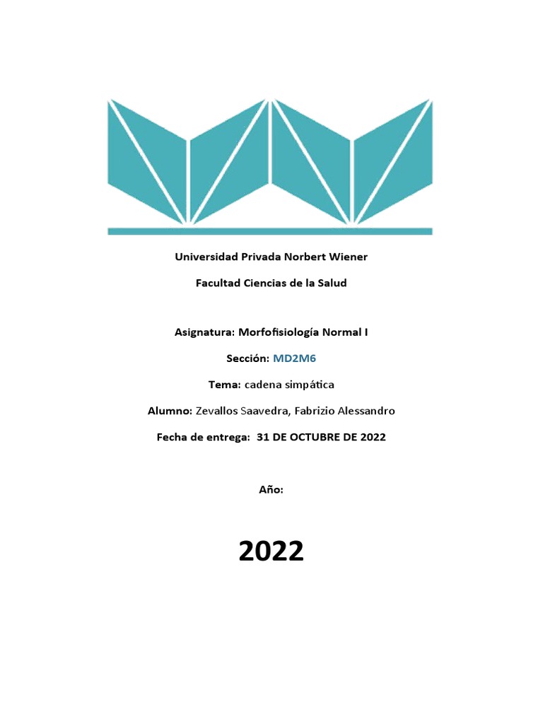 INFORME Cadena Simpatica | PDF | La columna vertebral | Vértebra