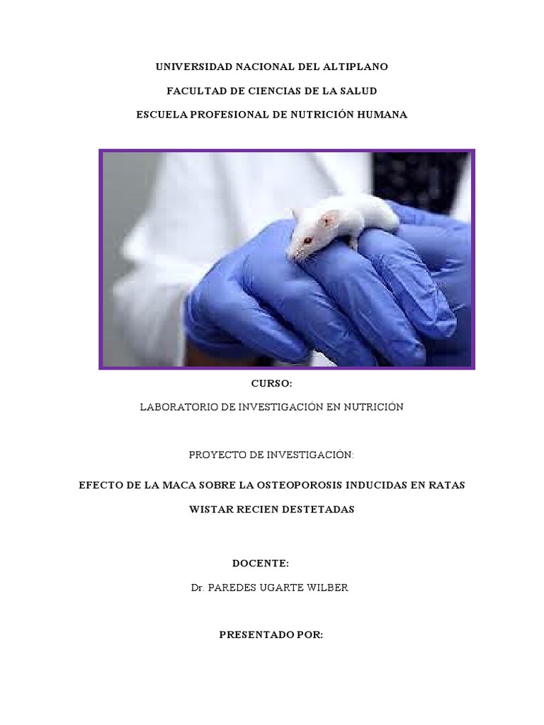 Investigacion 777777777 | PDF | Hueso | Osteoporosis