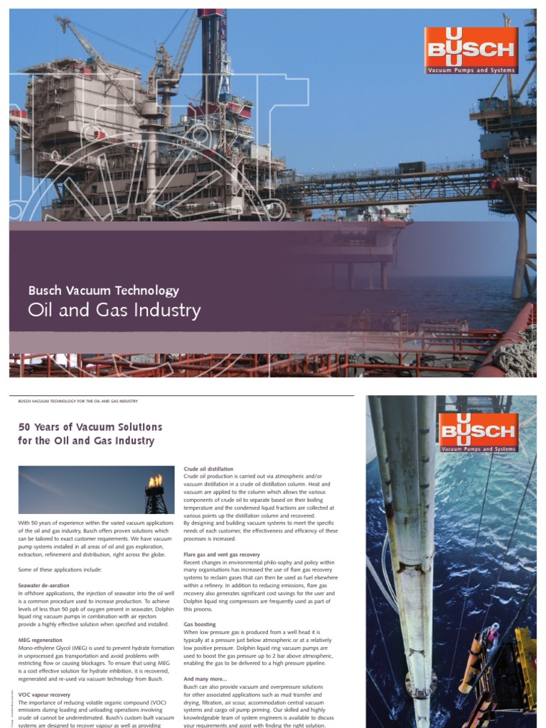 Oil and Gas Industry BUSCH PDF | PDF | Petroleum | Vacuum