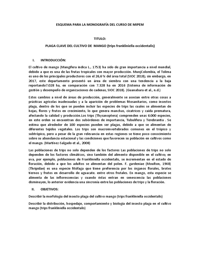 Avanze DE TORRES | PDF