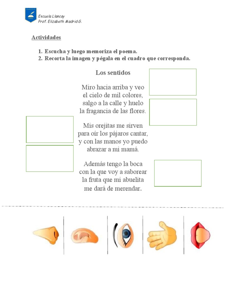 Actividades sobre los sentidos infantiles | PDF