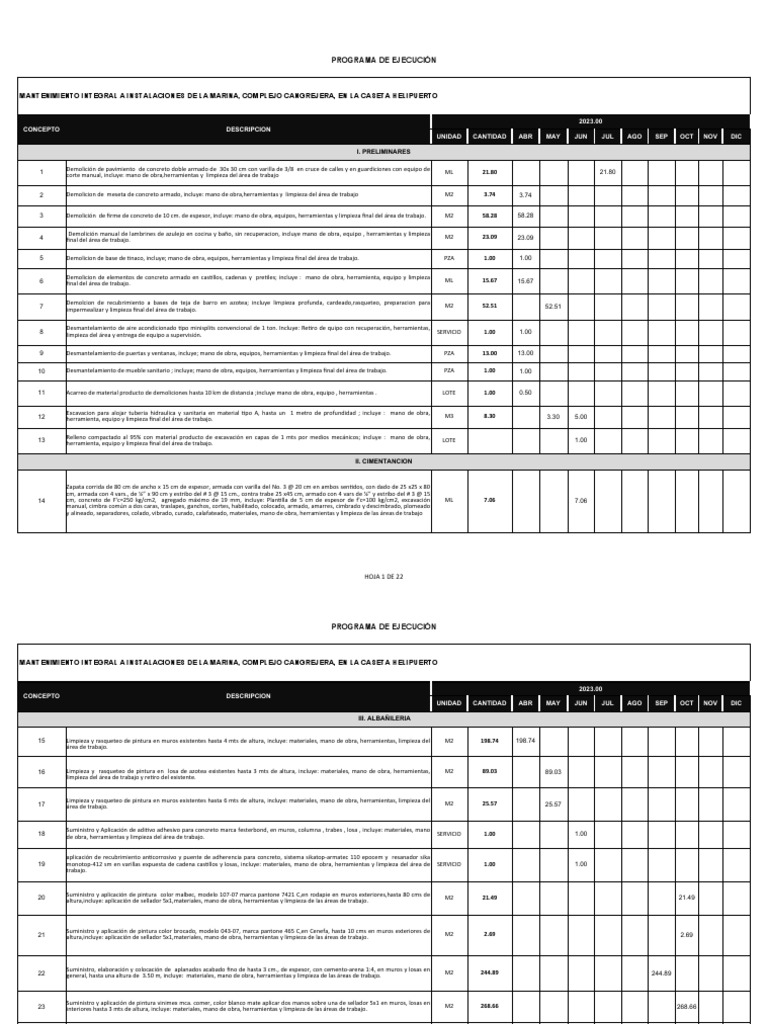 Programa de Ejecucion | PDF