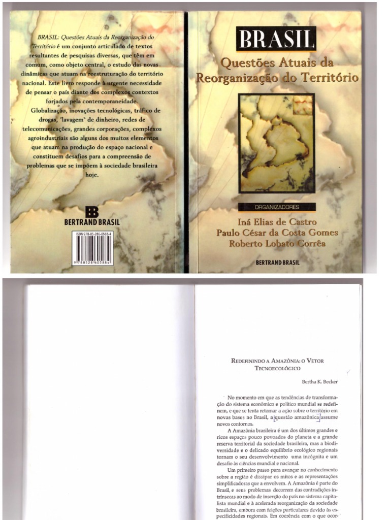 8 - Bertha Becker - Amazônia e o Vetor Tecnoecológico PDF | PDF