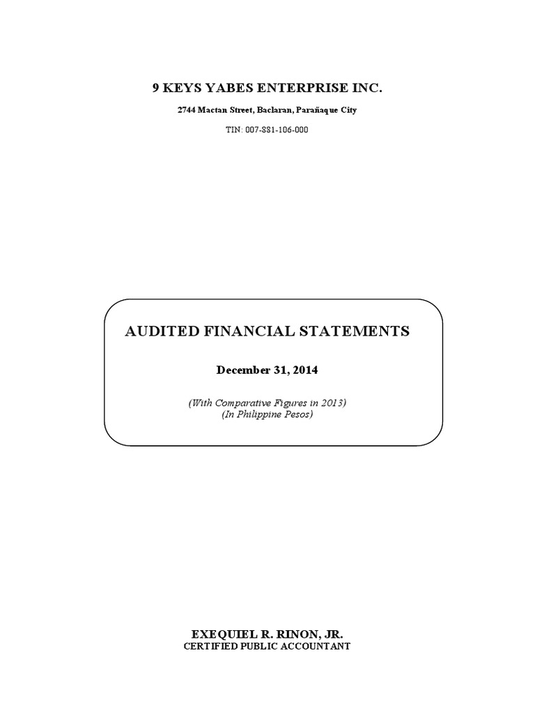 Audit Report Sample | PDF | Financial Audit | Audit