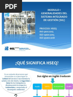 M Cor Sib 01.01 Manual Sib | PDF | Calidad (comercial) | Logística