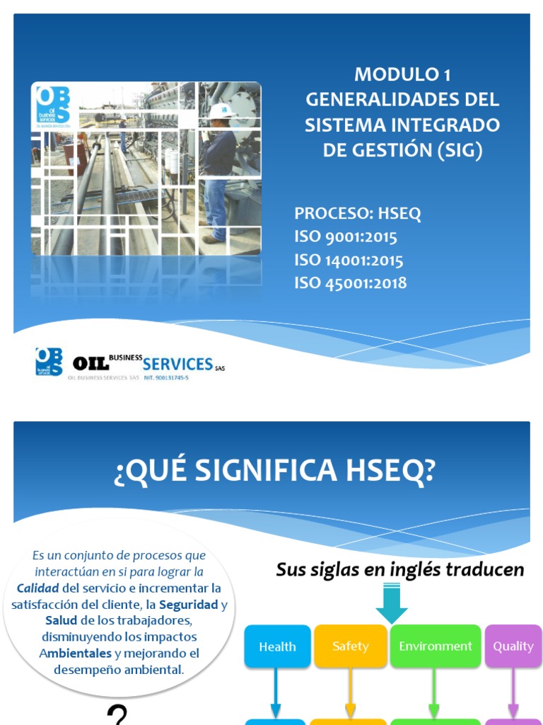Gestión HSEQ en Sectores Industriales | PDF