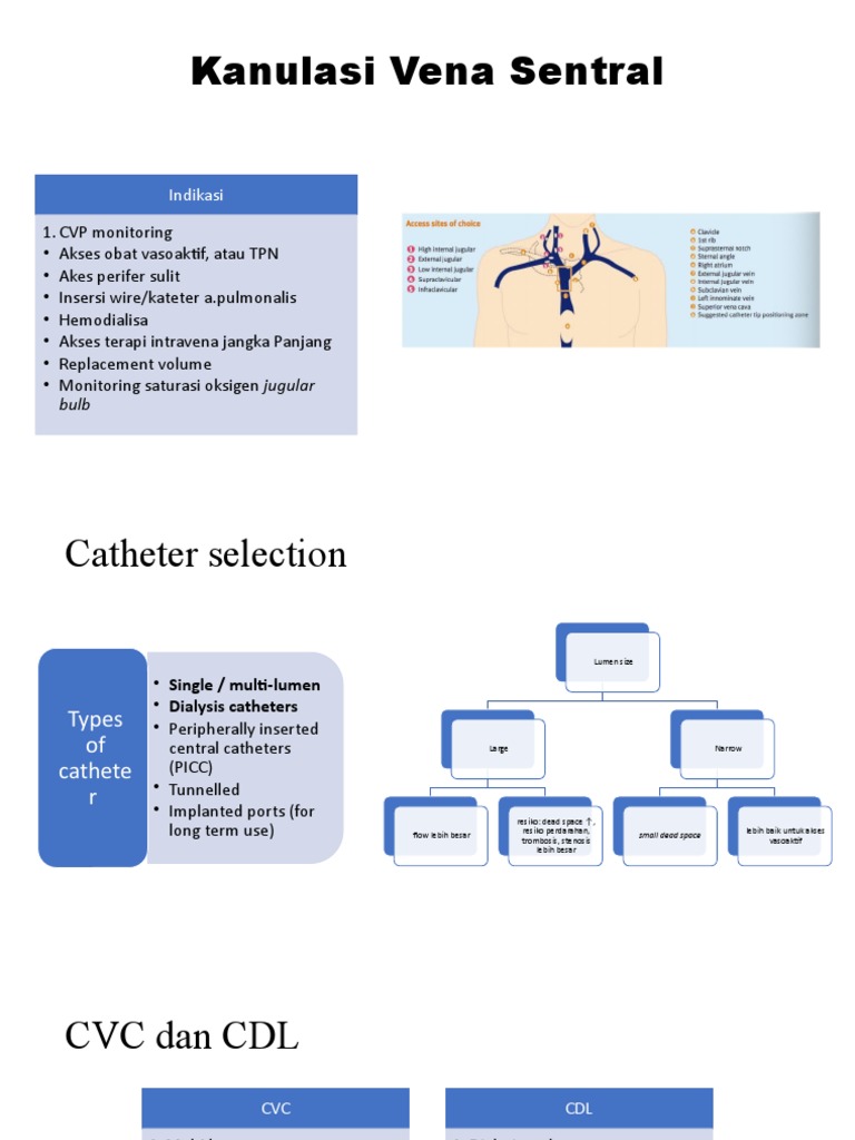 Central Venous Catheter Types | PDF