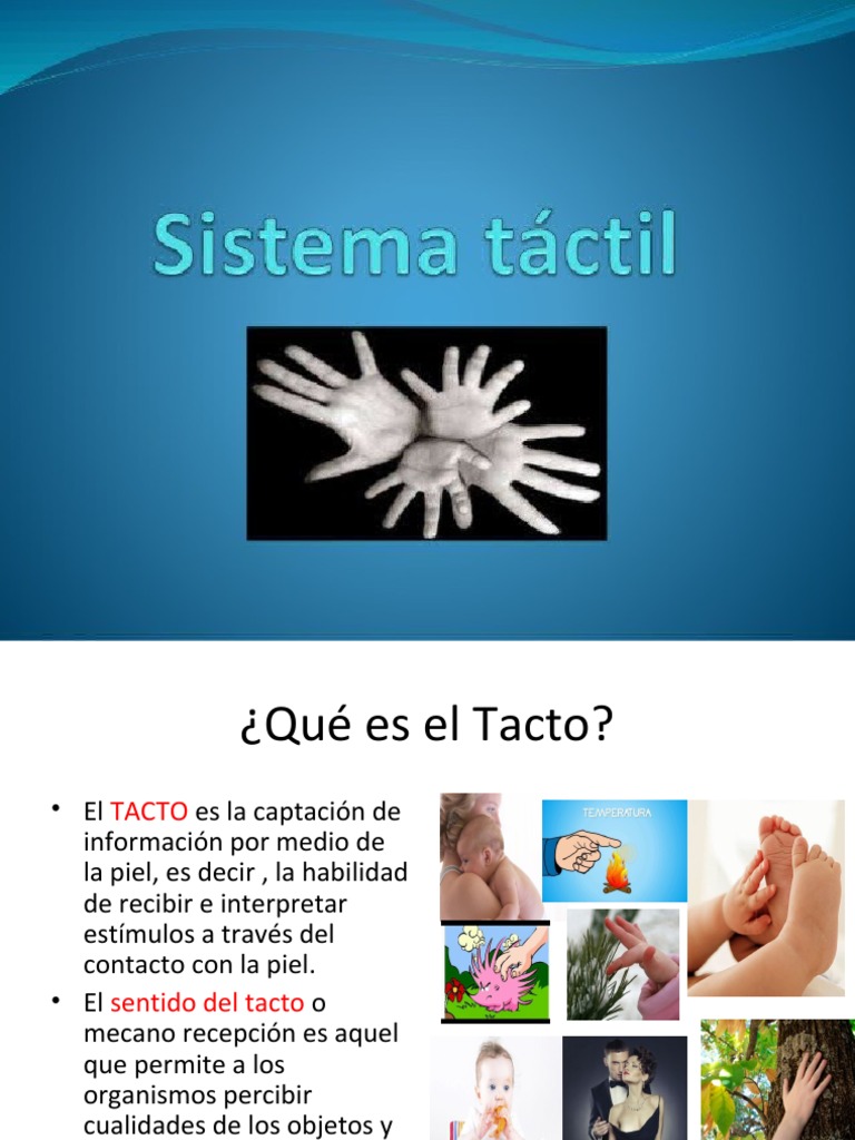 Sistema Tactil | PDF